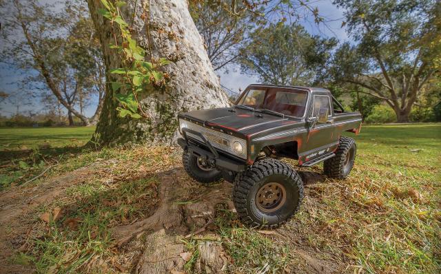 Enduro Trailwalker Black RTR | Associated Electrics (dev)